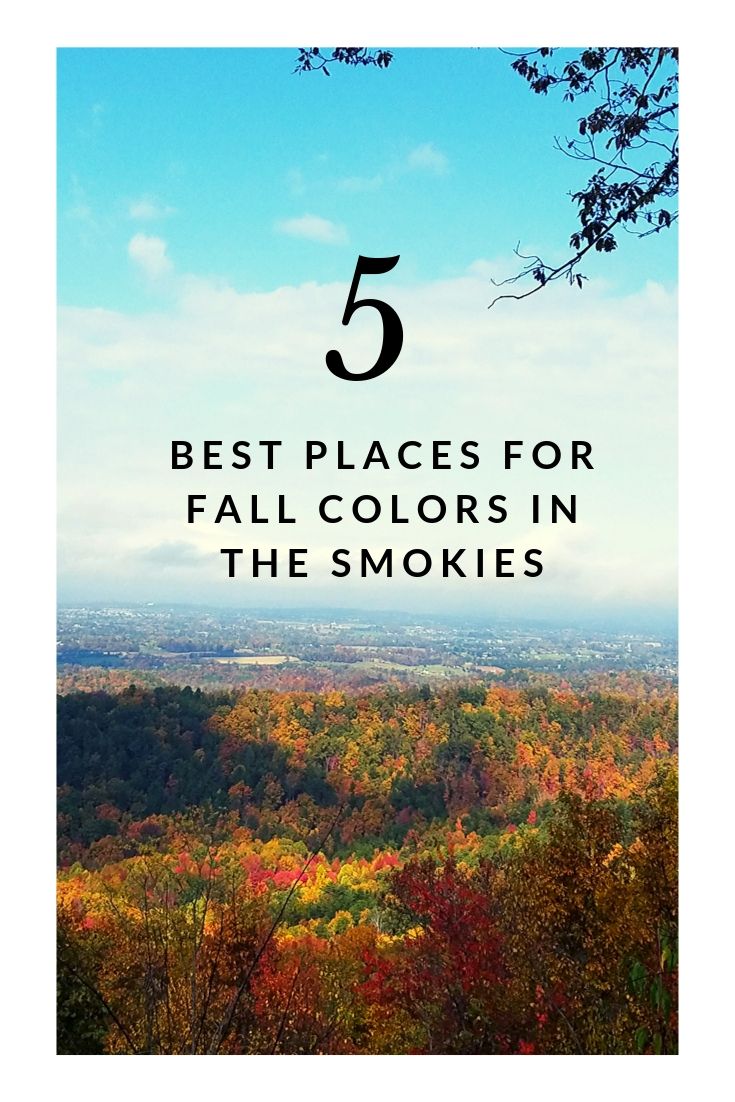 5 Best Places to See Fall Colors in the Smokies - Mom Elite